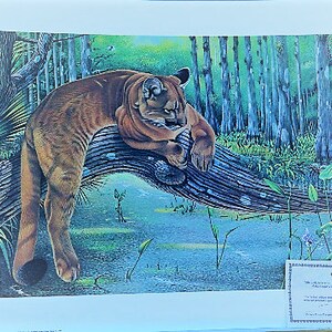 The Lofty Lookout, Robert Evans Younger Limited Edition Numbered Print ...