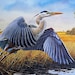 Lee Cable "everglades Flight-blue Heron" 1980's Signed, Numbered ...