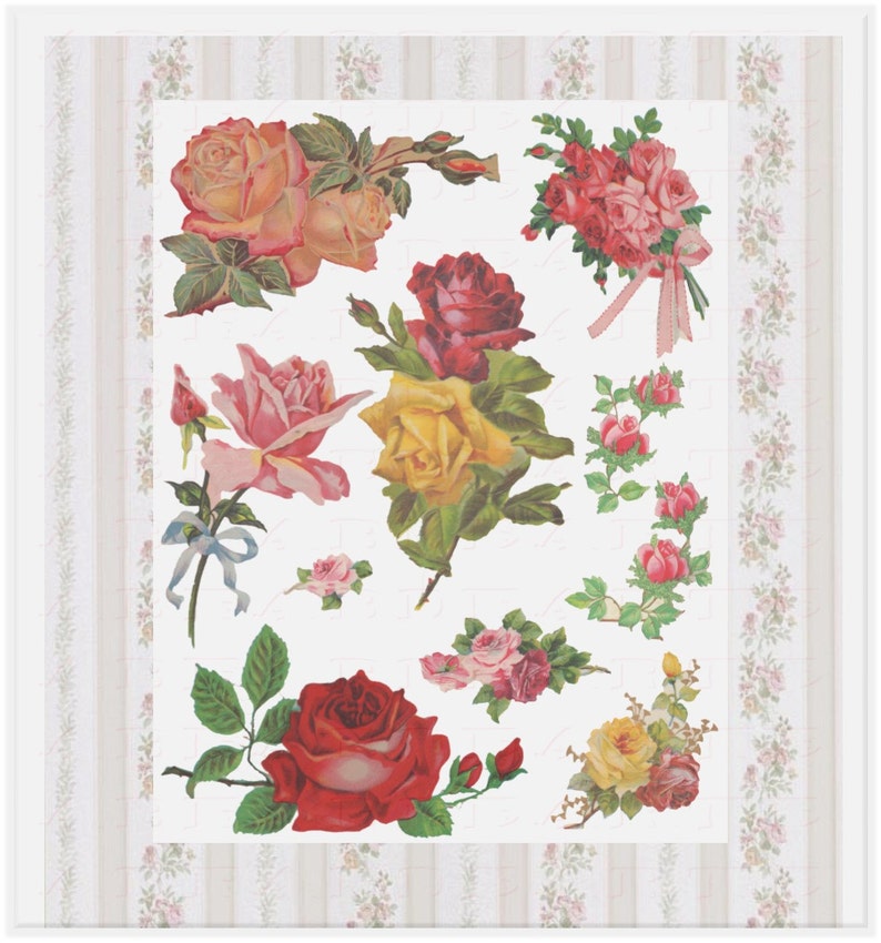 Vintage Victorian Postcard Roses From Early 1900's Instant Digital ...