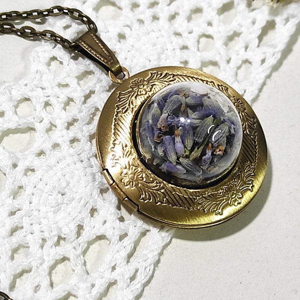 Real Lavender - Etsy