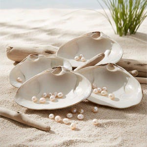 Large Atlantic Clam Shells: Coastal Decor, Craft Supplies - Set of 4 - Etsy
