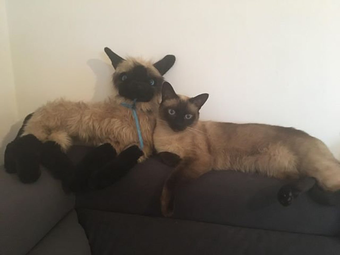 Custom Cat Portrait, Soft Toy Cat Replica TO ORDER, Personalized Cat's ...