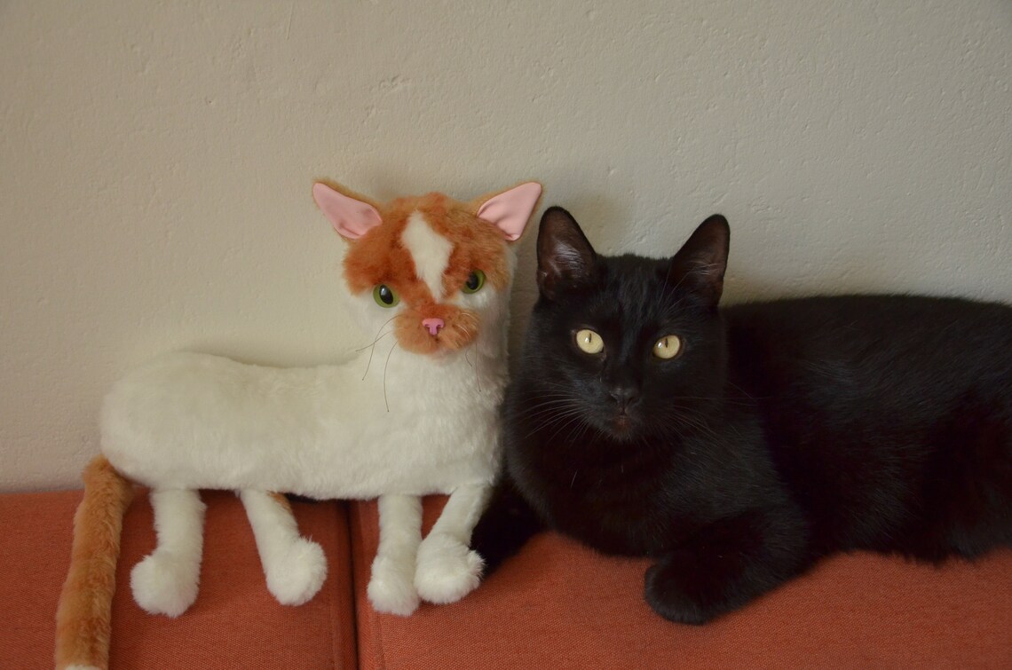 Custom Cat Portrait Soft Toy Cat Replica TO ORDER - Etsy