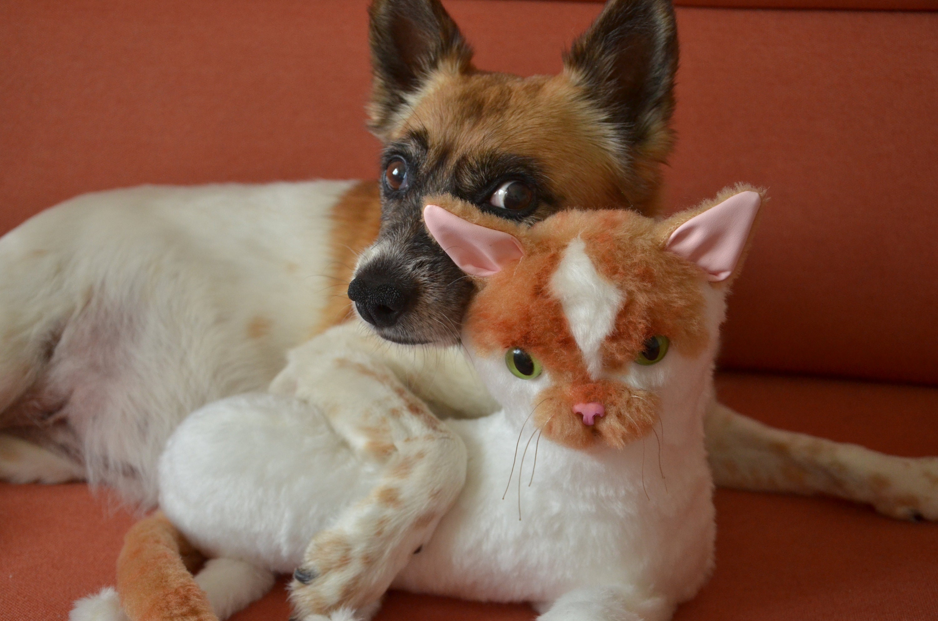 Custom Cat Portrait Soft Toy Cat Replica TO ORDER - Etsy