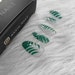 The Palmy Nailz, 24 Clear Press on Nails, Clear Leaf Print Stick on ...