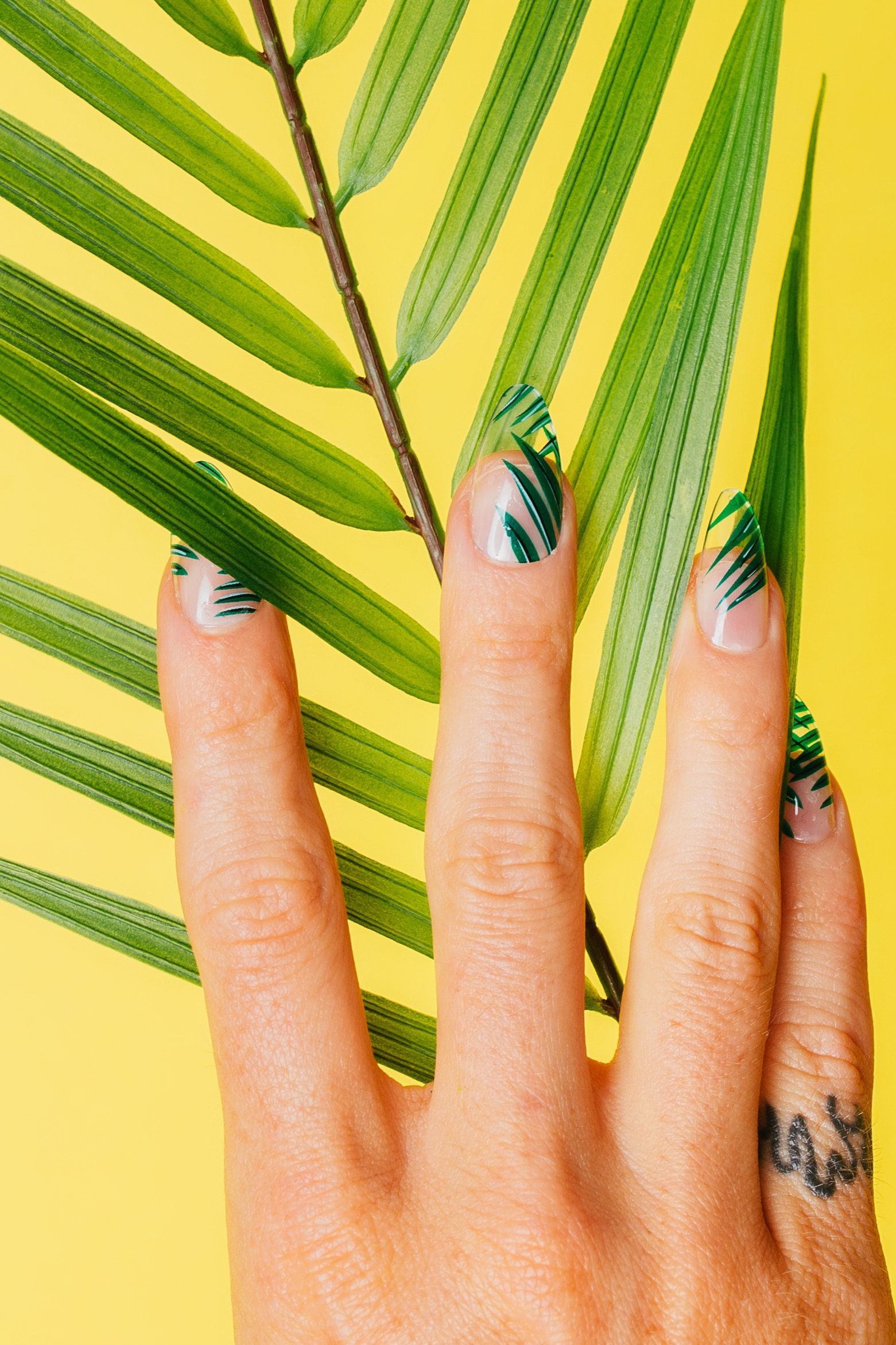 The Palmy Nailz, 24 Clear Press on Nails, Clear Leaf Print Stick on ...