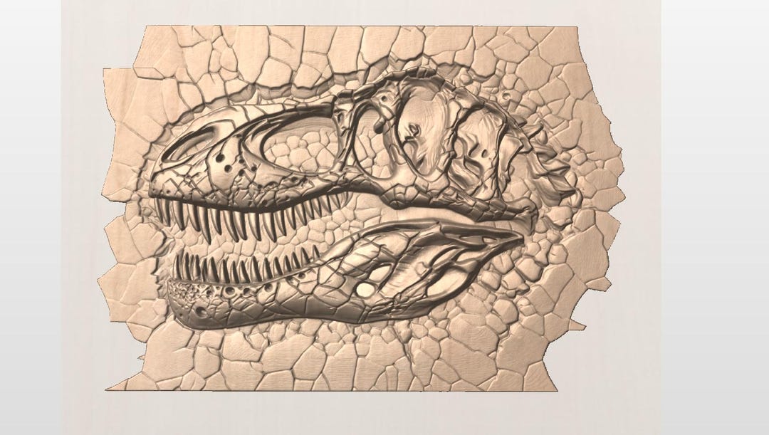 Dinosaur Fossil Skeleton Skull STL File Woodcarving Relief for a 3D CNC ...