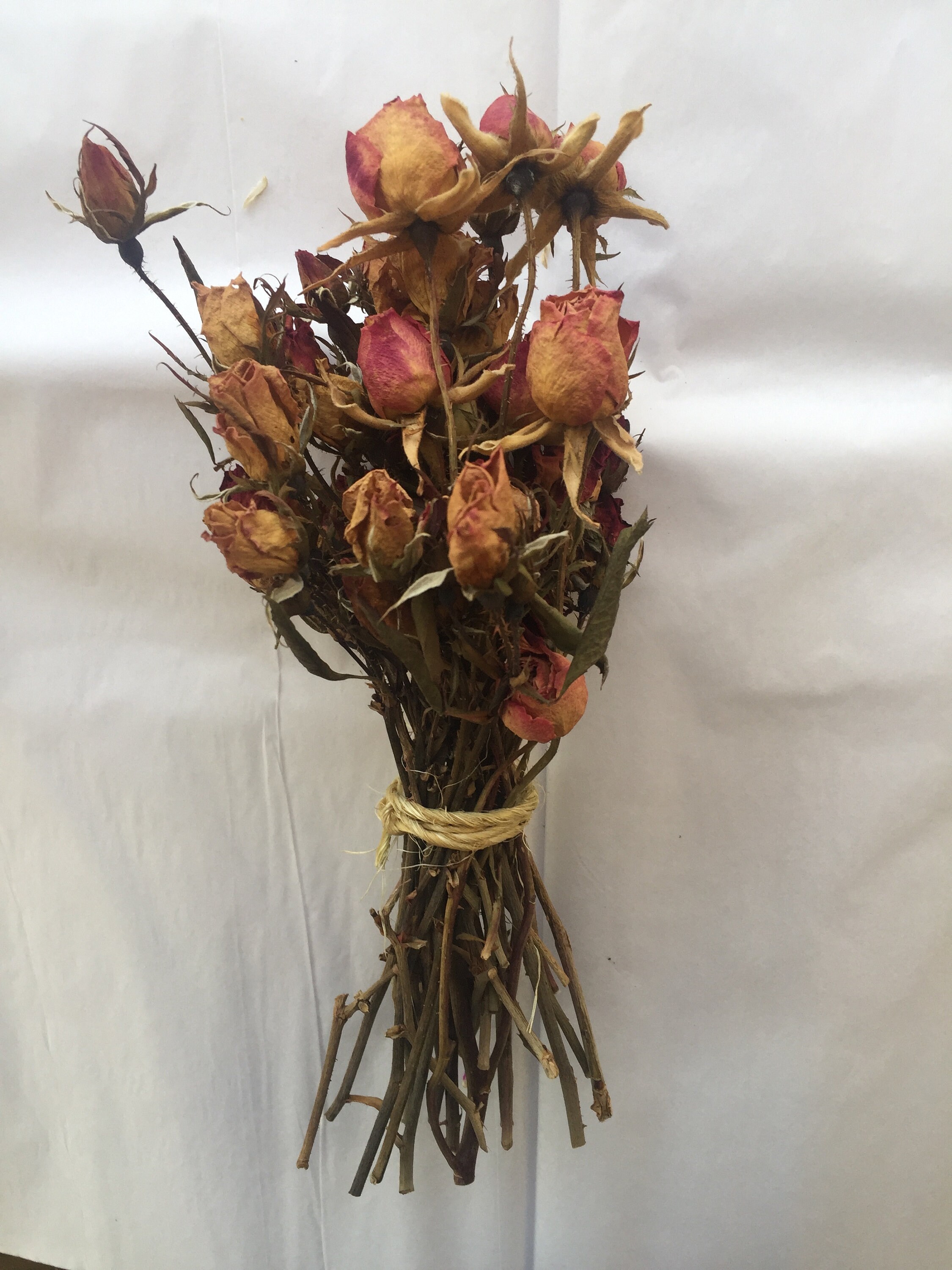 Pink Rose Bundle - Etsy