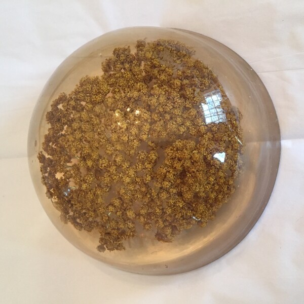 Resin Paperweight - Etsy