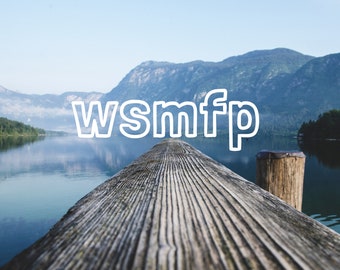 Widespread Panic Decal | Etsy