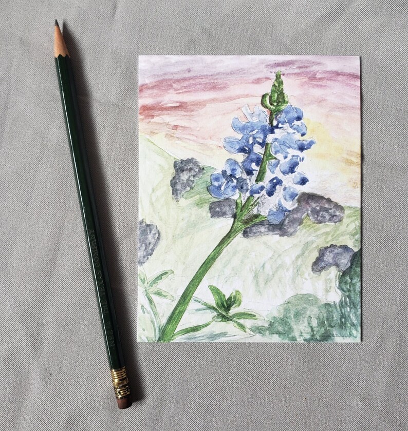 Texas Bluebonnet State Flower Watercolor Painting Post Cards Etsy