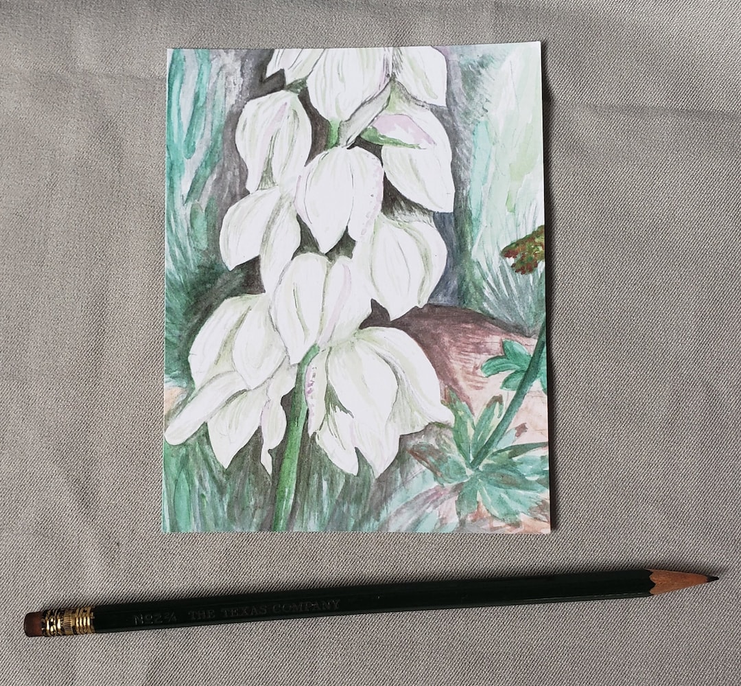 New Mexico Yucca Blossom State Flower Watercolor Painting Post Cards - Etsy