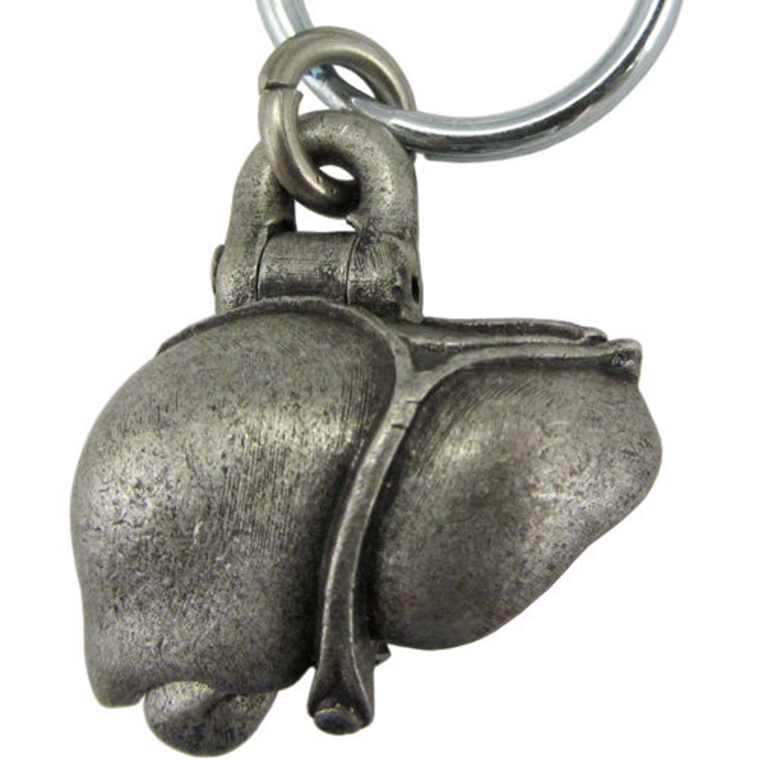 Liver Anatomy Keychain Human Liver Transplant Organ - Etsy