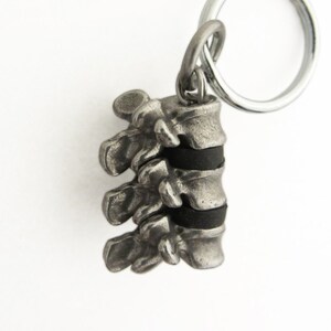 Spinal Column Keychain - Vertebrae Anatomy Keychain - Etsy
