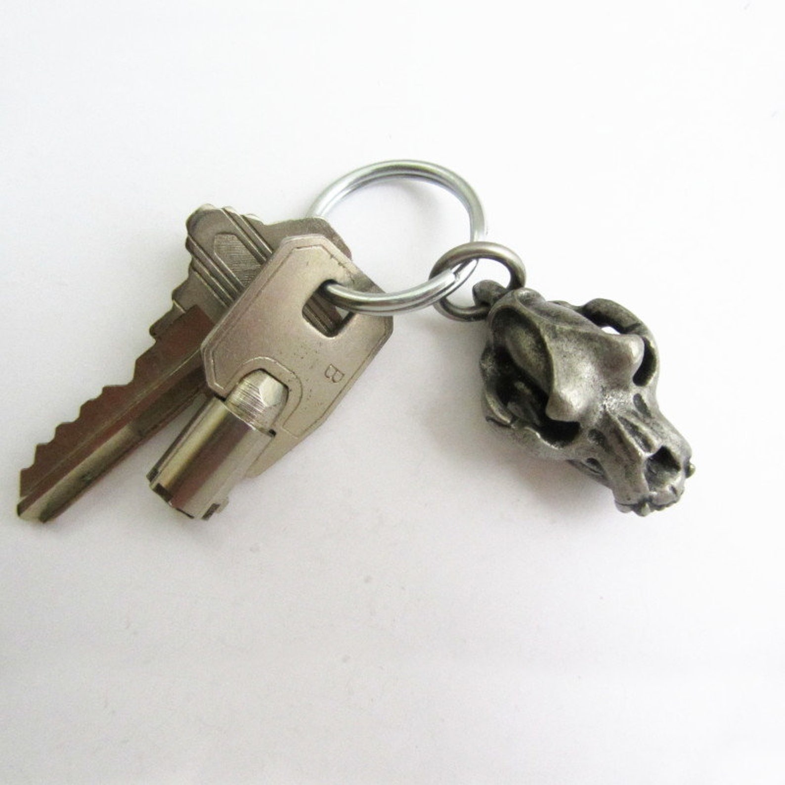 Cave Bear Keychain - Ursus Spelaeus Paleontology, Fossil Skull Keychain ...