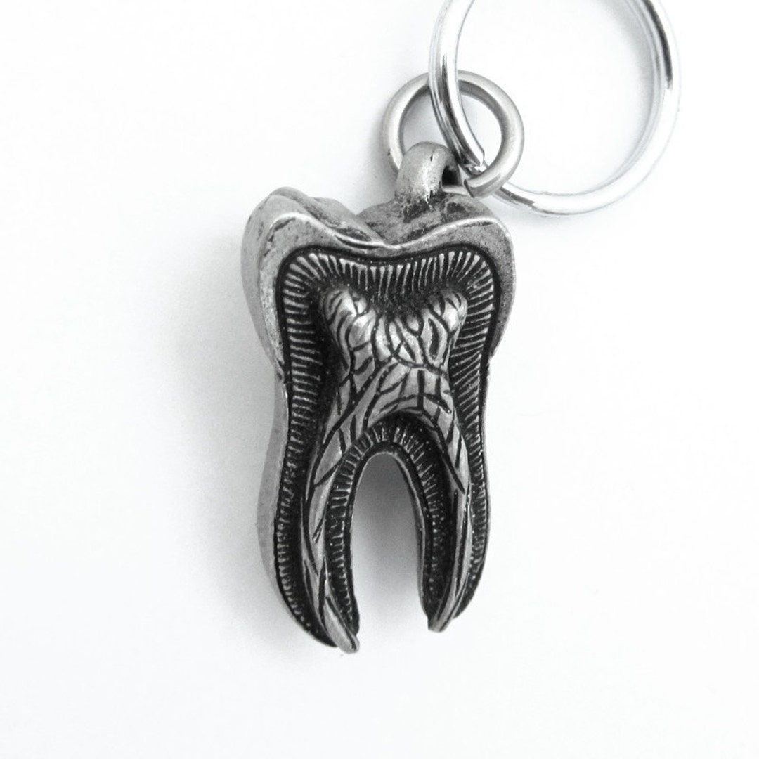Human Tooth Keychain - Tooth Anatomy Accessory - Etsy