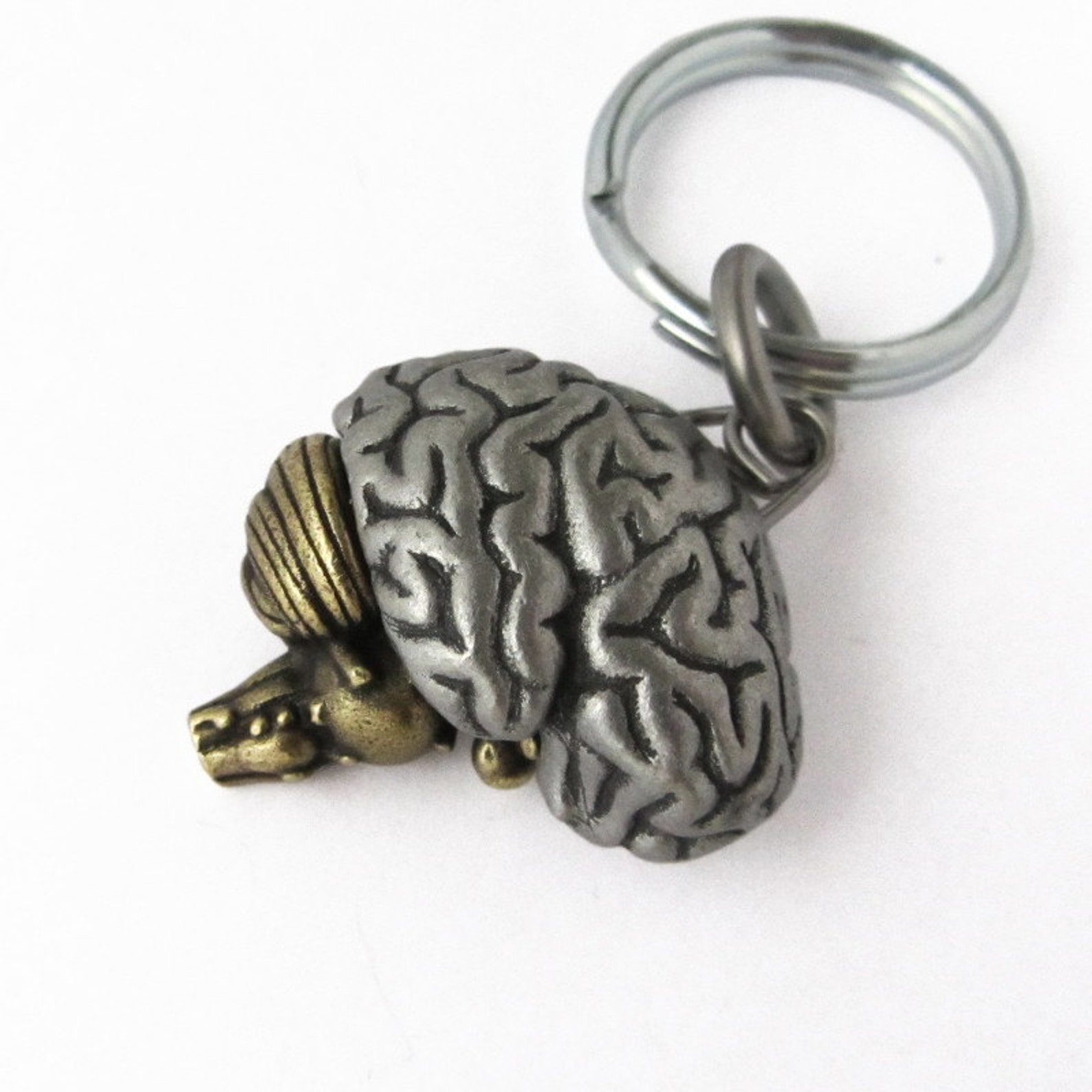 Articulating Human Brain Anatomy Keychain - Etsy