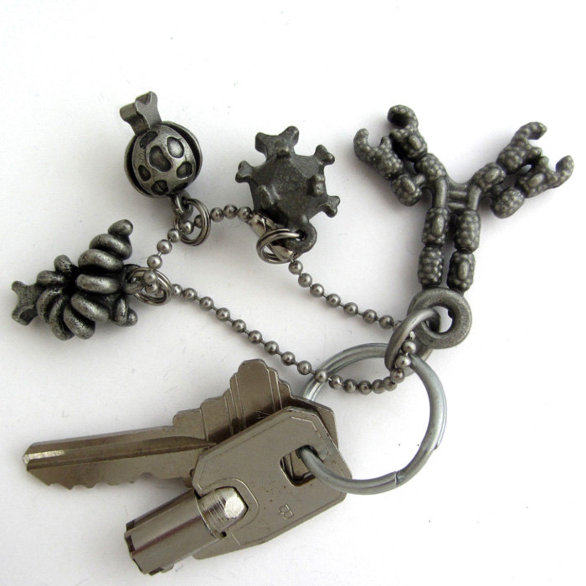 Antibody Keychain With Infectious Agents and Allergens - Immunology ...