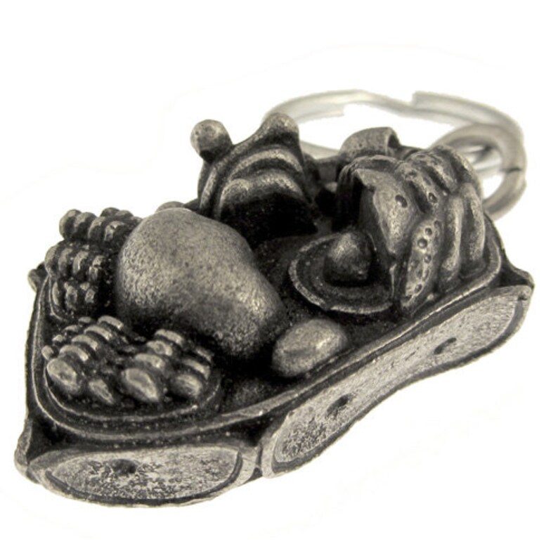 Plant Cell Biology Keychain, Microbiology , Botany, Plant Biology ...