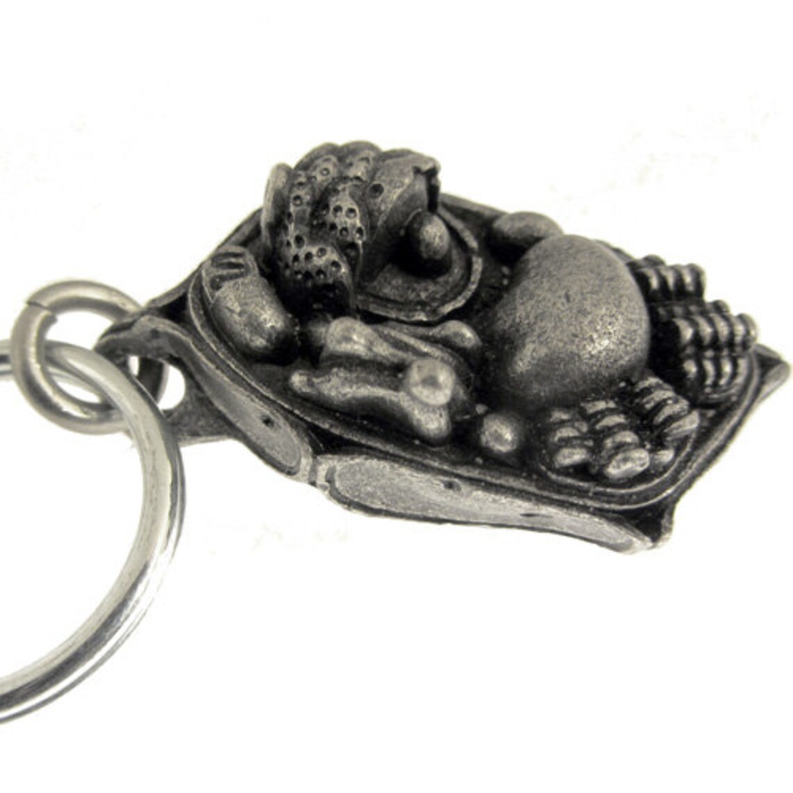 Plant Cell Biology Keychain, Microbiology , Botany, Plant Biology ...