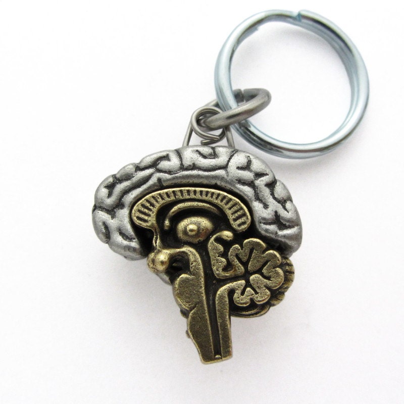 Articulating Human Brain Anatomy Keychain Neurology - Etsy