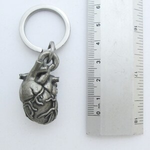Human Heart Anatomy Keychain - Cardiology Locket - Etsy