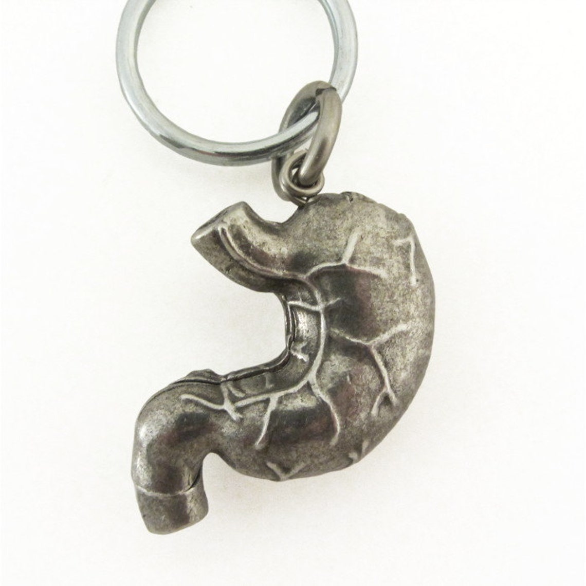 Human Stomach Keychain - Anatomy Locket Keychain - Etsy