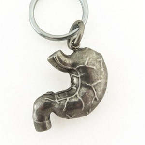 Human Stomach Keychain - Anatomy Locket Keychain - Etsy