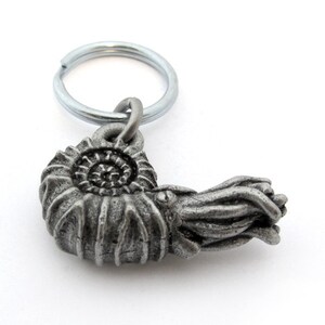 Ammonite Keychain - Fossil Keychain, Paleontology, Cephalopod, Mollusc ...