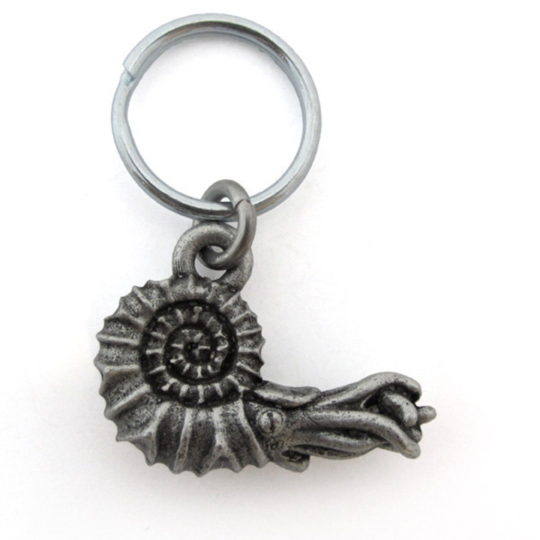Ammonite Keychain - Fossil Keychain, Paleontology, Cephalopod, Mollusc ...