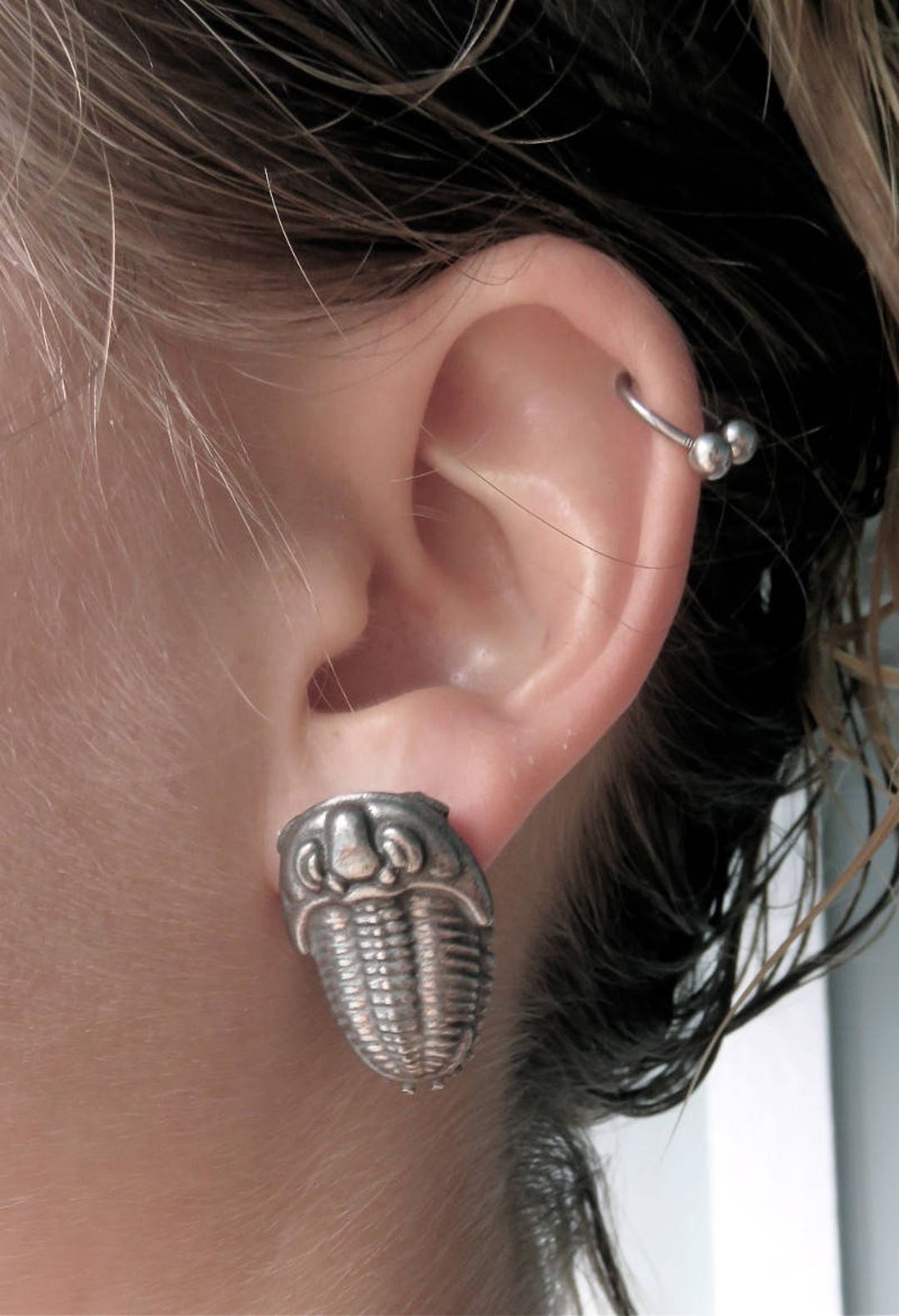 Trilobite Earrings - Invertebrate Paleontology, Trilobite Jewelry ...