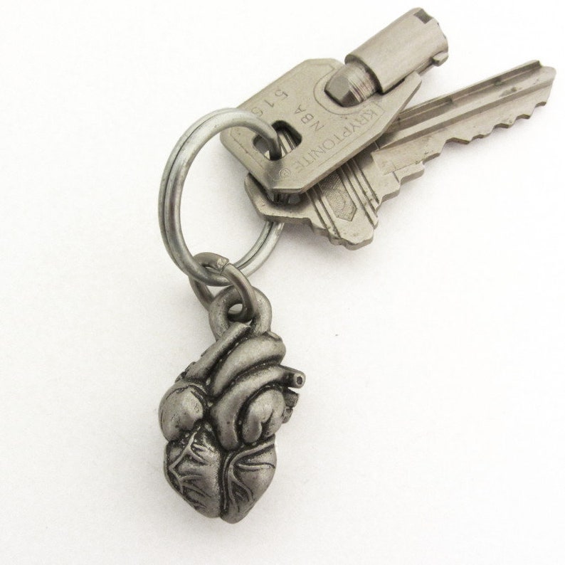 Human Heart Anatomy Keychain | Etsy