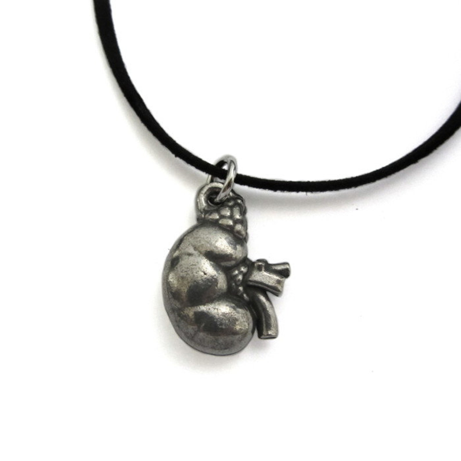 Human Kidney Necklace - Renal Anatomy Pendant, Medical, Anatomical ...
