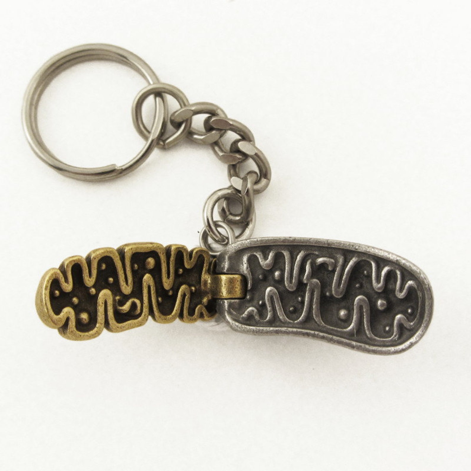 Mitochondrion Keychain Mitochondria Keychain Microbiology | Etsy