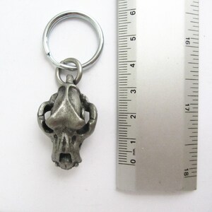 Cave Bear Keychain - Ursus Spelaeus Paleontology, Fossil Skull Keychain ...