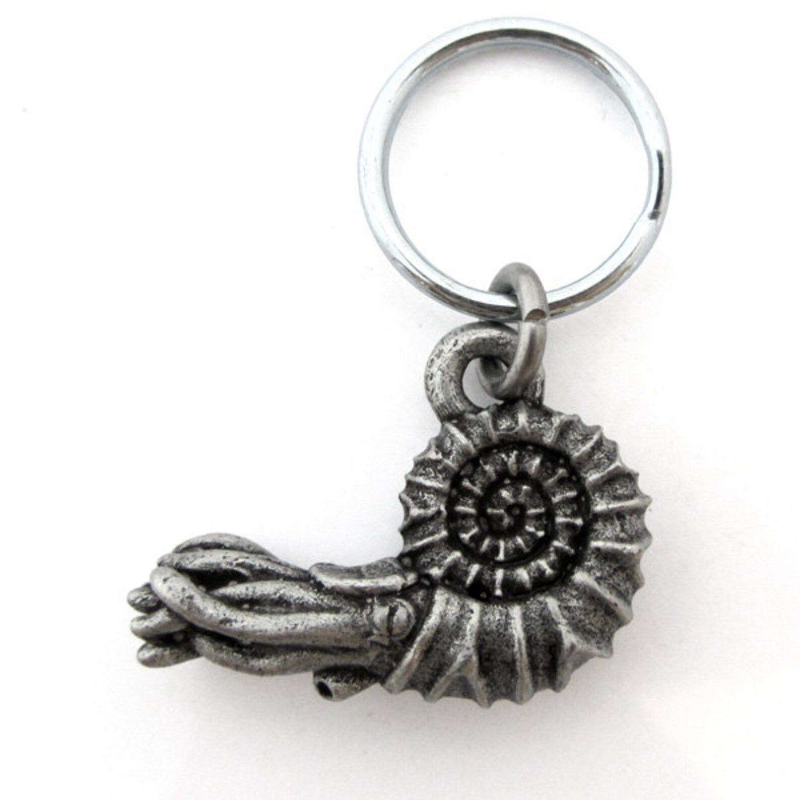 Ammonite Keychain Fossil Keychain Paleontology Cephalopod - Etsy