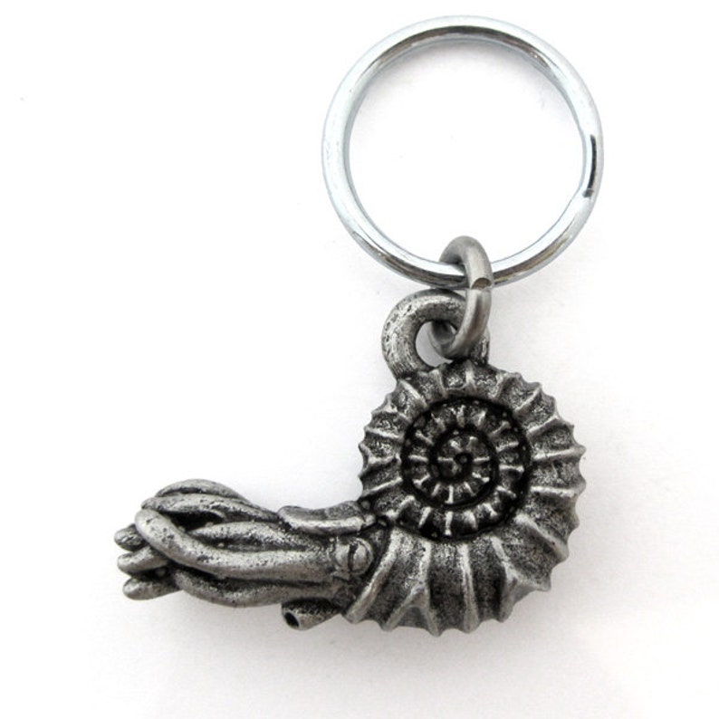 Ammonite Keychain Fossil Keychain Paleontology Cephalopod - Etsy