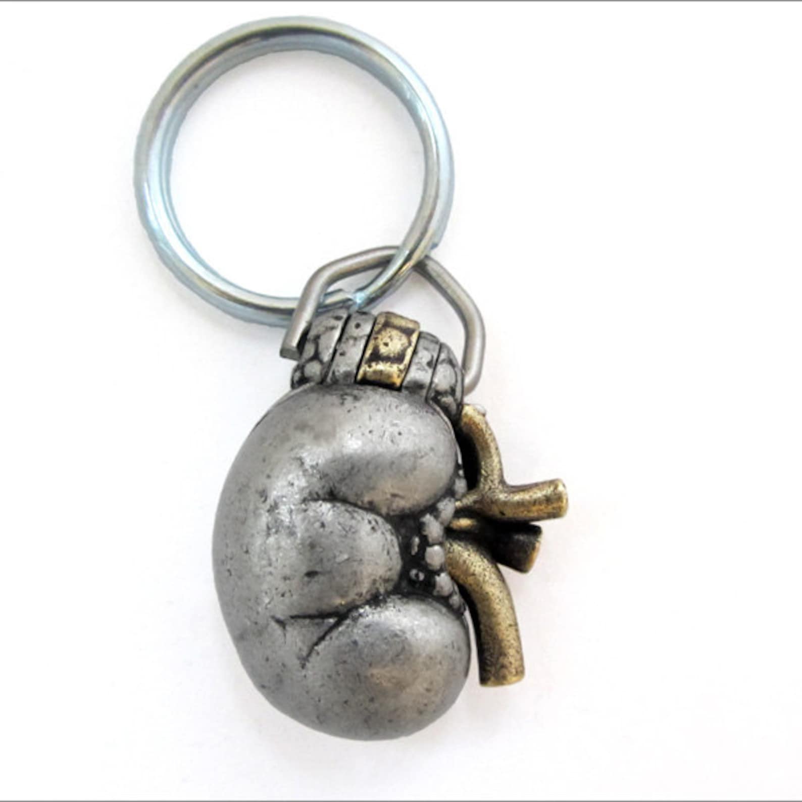 Human Kidney Keychain - Renal Anatomy Keyring - Etsy