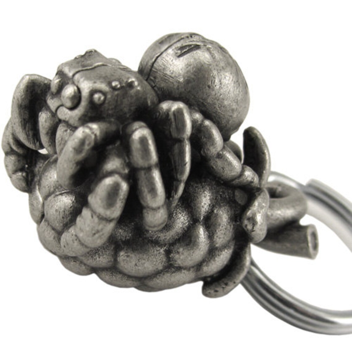 Jumping Spider Keychain - Spider Anatomy, Articulating Arachnid ...