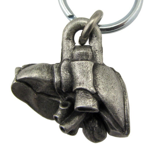 Liver Anatomy Keychain Human Liver Transplant Organ | Etsy