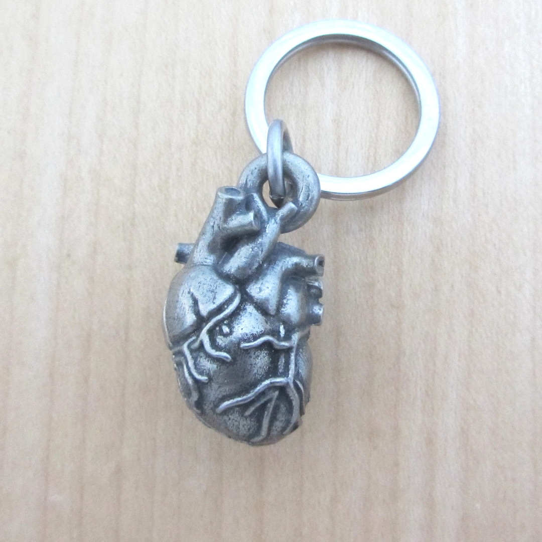 Human Heart Anatomy Keychain - Cardiology Locket - Etsy