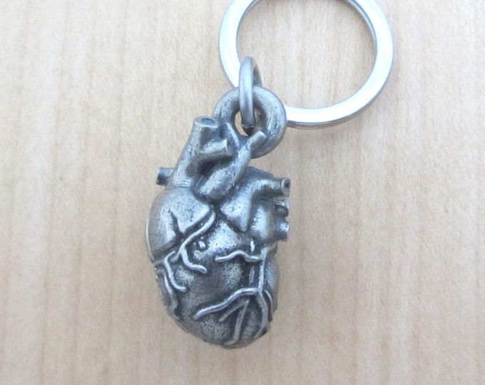 Human Heart Anatomy Keychain Cardiology Locket - Etsy
