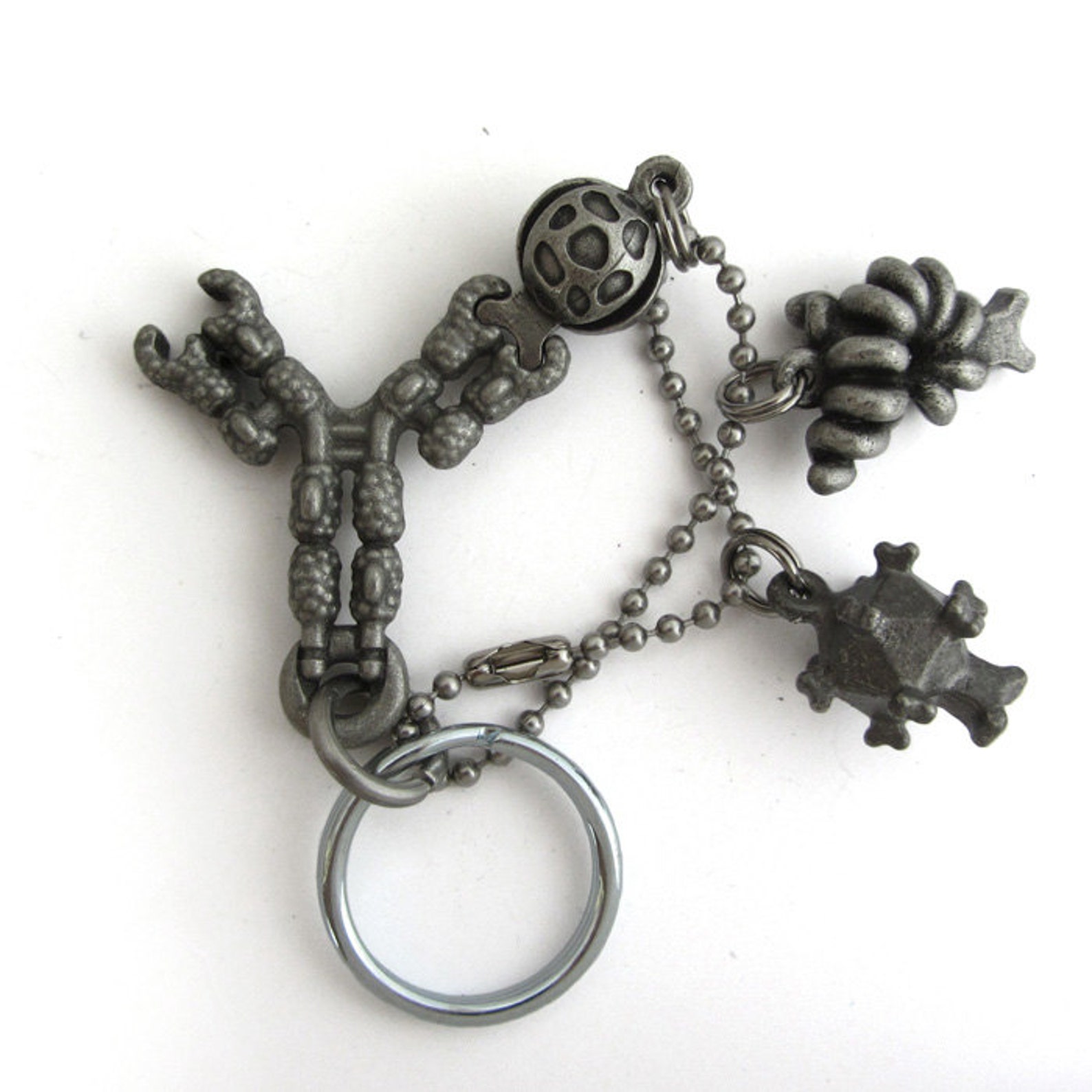 Antibody Keychain With Infectious Agents and Allergens - Immunology ...