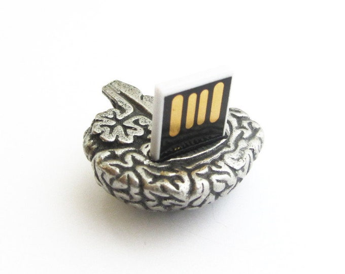 Human Brain USB Thumb Drive - Brain Flash Drive, Human Anatomy Science ...