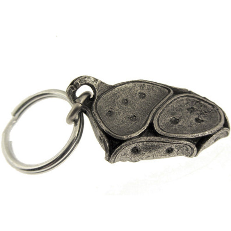 Plant Cell Biology Keychain, Microbiology , Botany, Plant Biology ...