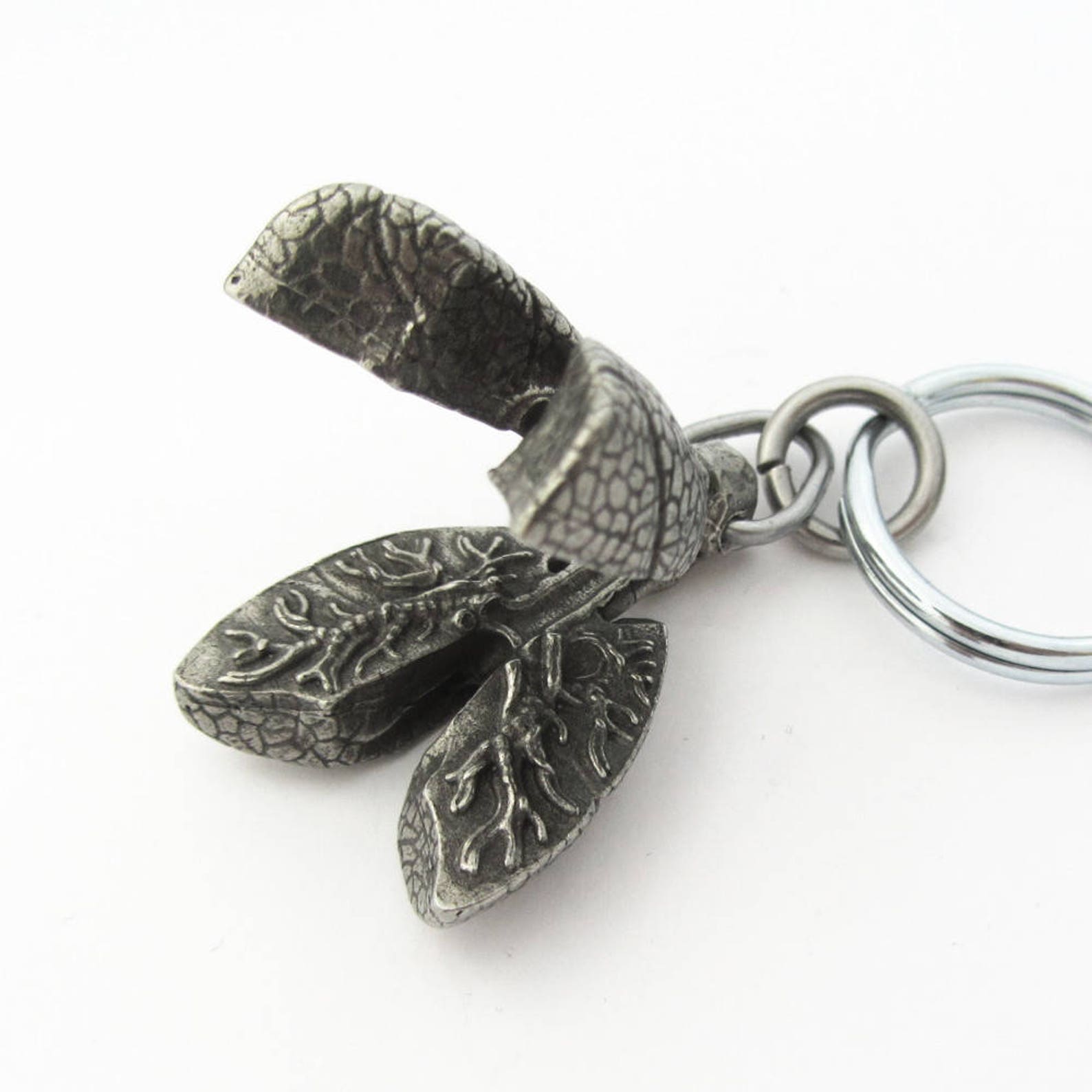 Human Lungs Keychain Pulmonary Anatomy Medical - Etsy