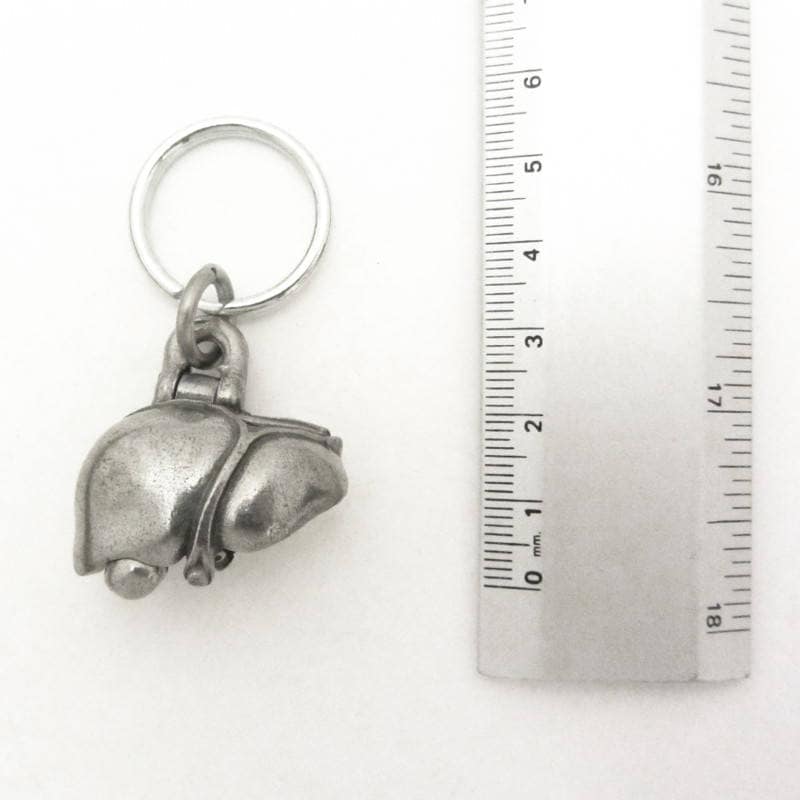 Liver Anatomy Keychain Human Liver Transplant Organ | Etsy