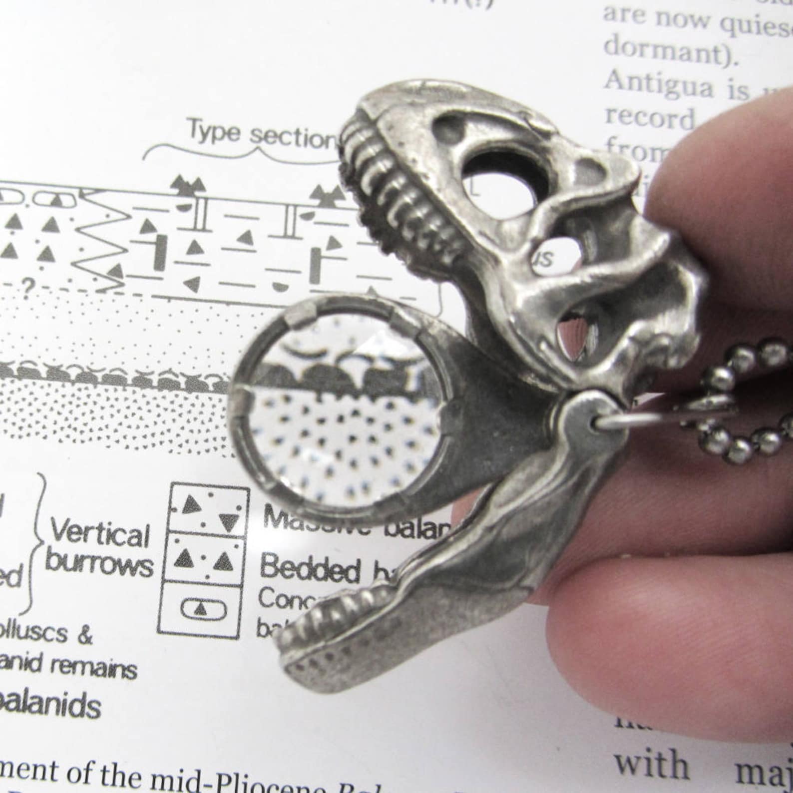 Allosaurus Skull Magnifier Pendant Dinosaur Skull Magnifying - Etsy