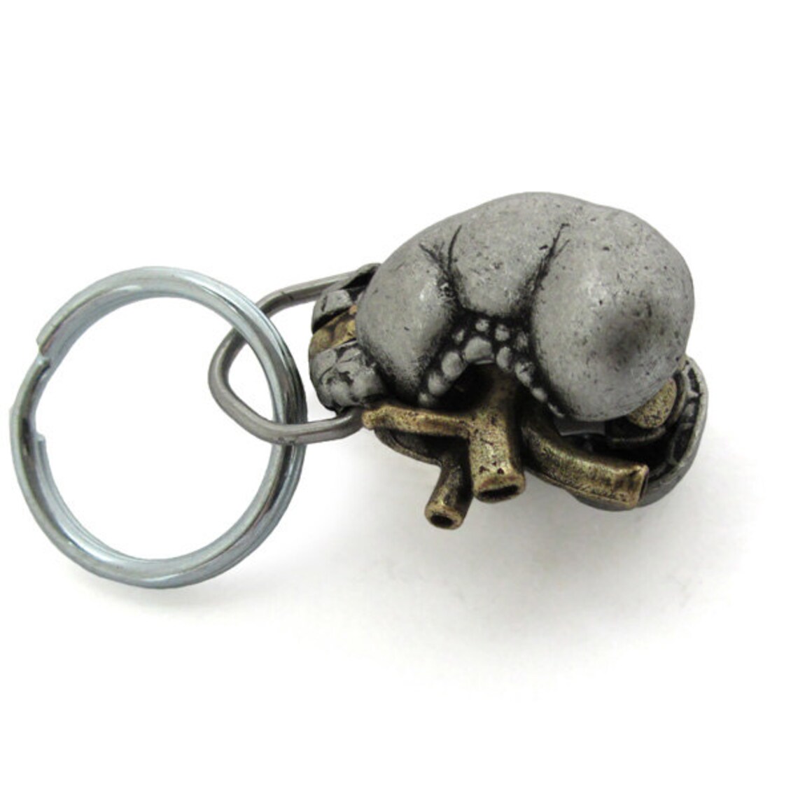 Human Kidney Keychain - Renal Anatomy Keyring - Etsy