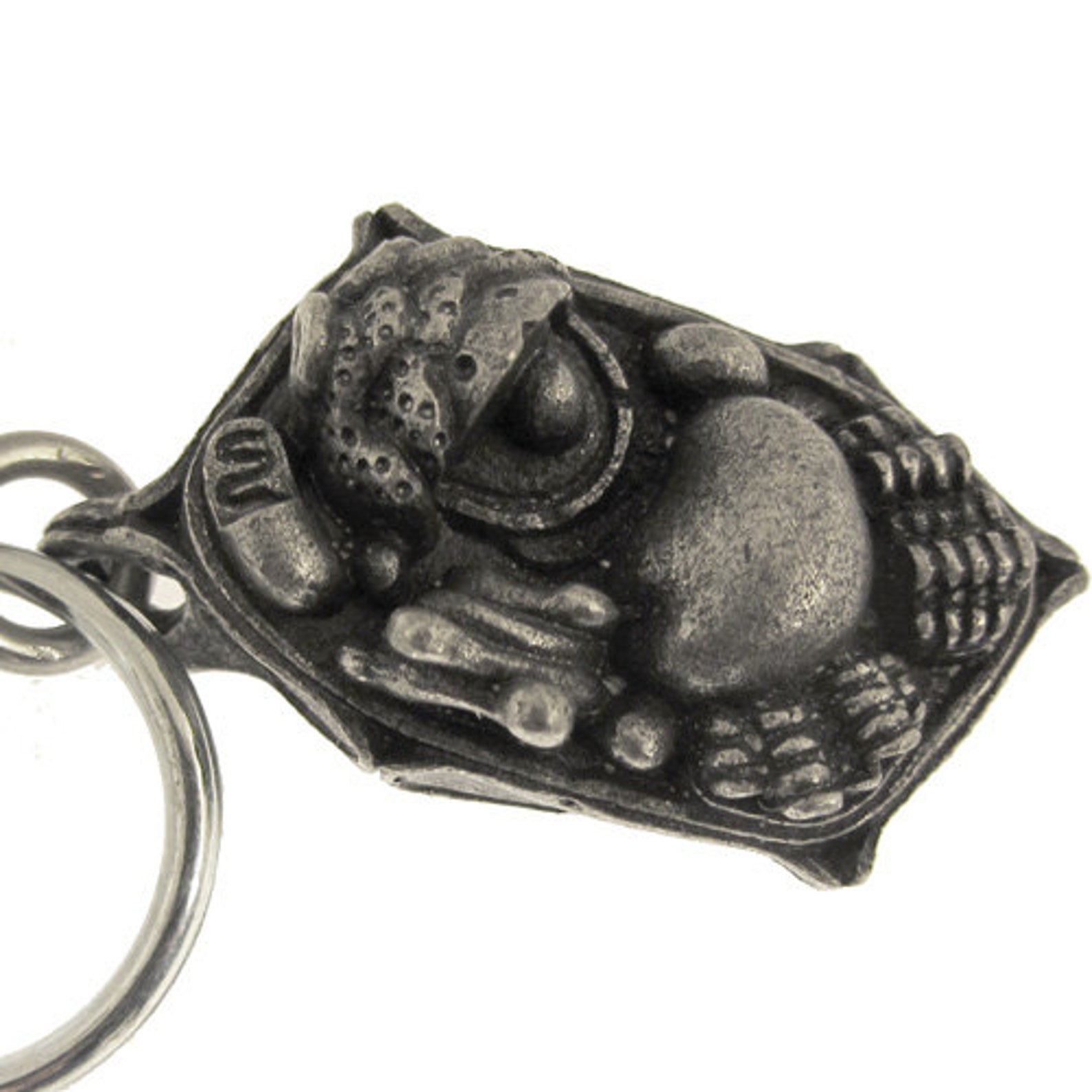 Plant Cell Biology Keychain, Microbiology , Botany, Plant Biology ...